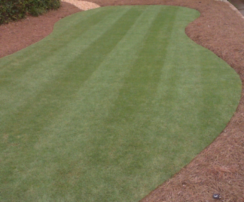 True Sod – Golden Landscaping Supply